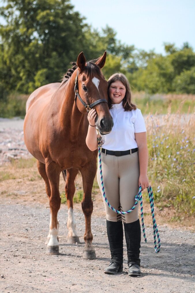 DME Academy Horses – Daisy Meadows Equestrian