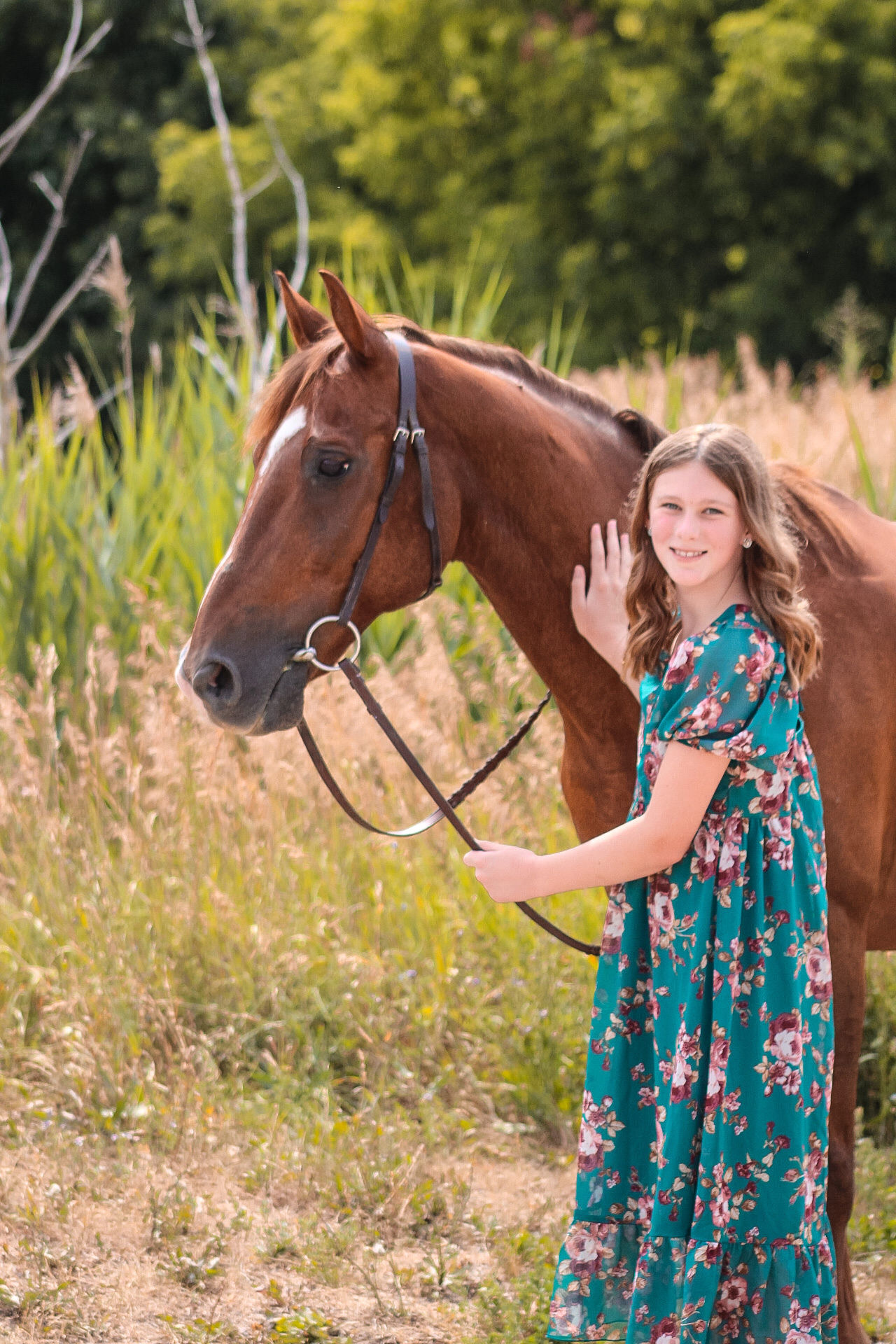 DME Academy Horses – Daisy Meadows Equestrian