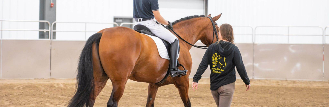 DME Performance – Daisy Meadows Equestrian